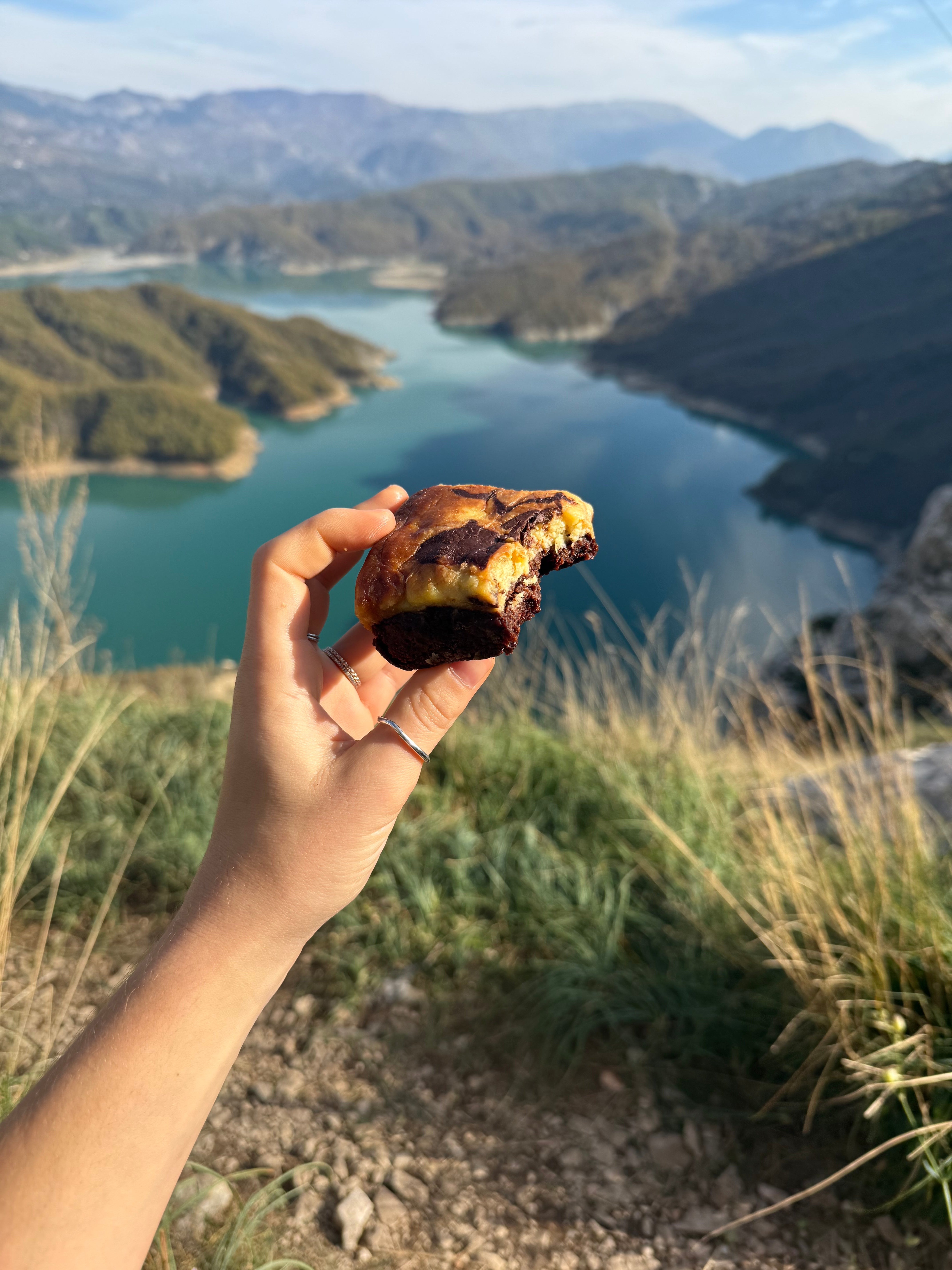 Kleine Gebakjes – Junglicious